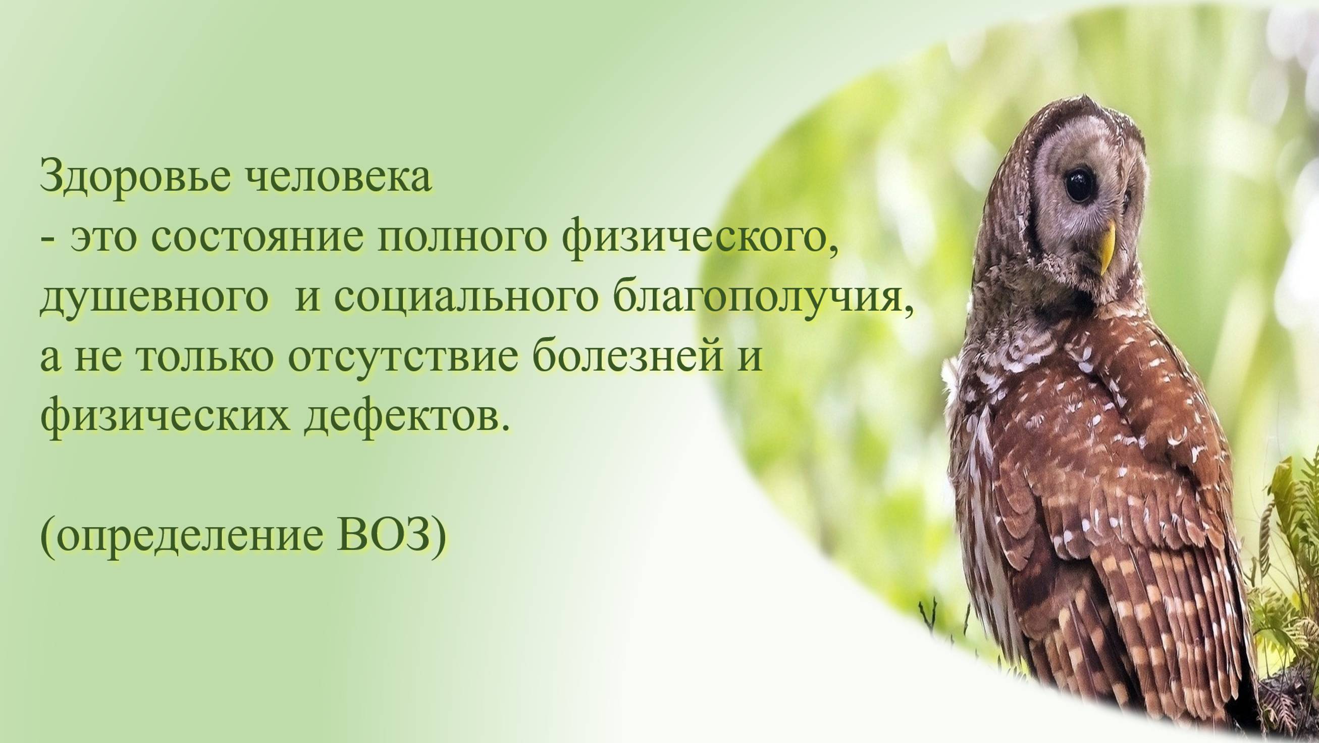 Сова о самом главном. Семь стадий зашлакованности организма. Базовые продукты. А. Рахимова. 02.02.22