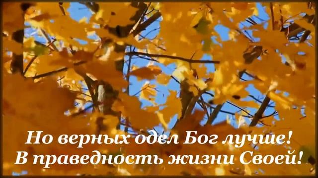 Красивая осень.  Никита Крутиков