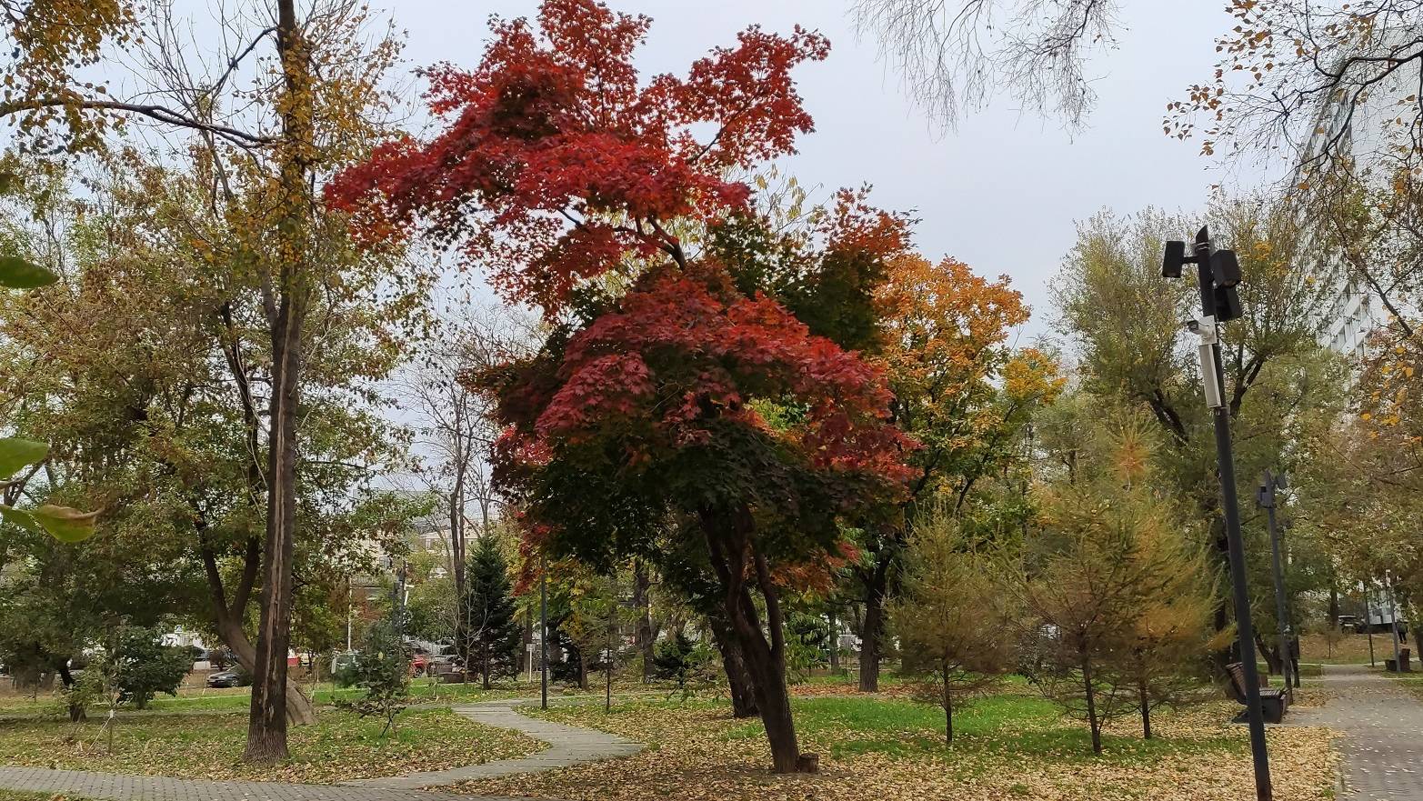 Осень во Владивостоке