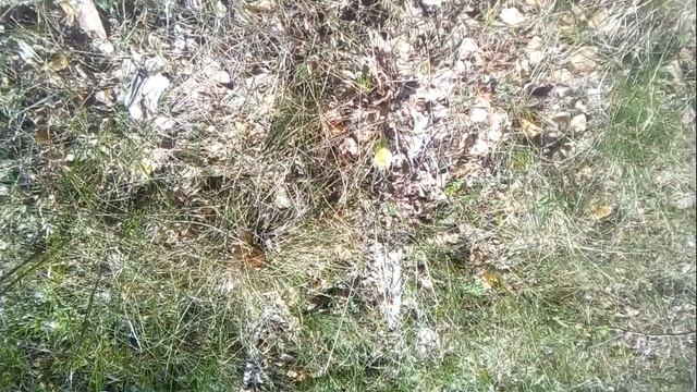 2022_05_12_Ольгин_6