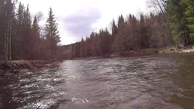 2024_05_24_031_Вижай_стоянка