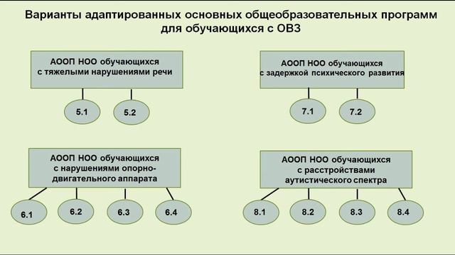 Видеолекция "Адаптированные основные общеобразовательные программы"