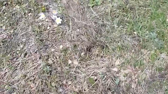 2016_05_Игнатьевская