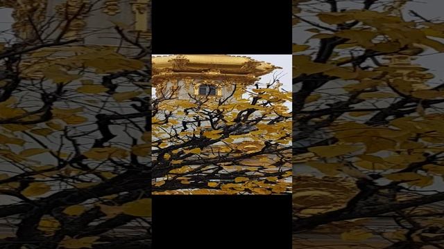 Нижний парк Петродворца