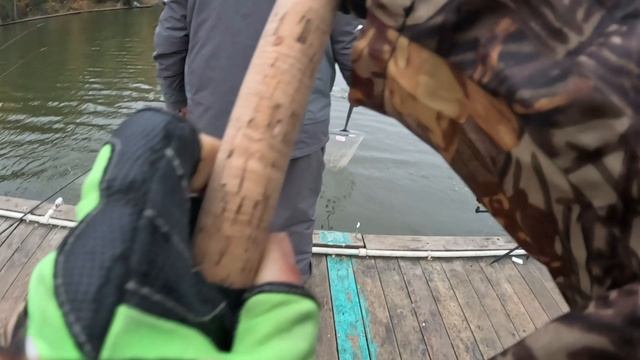 Новый вид рыбы