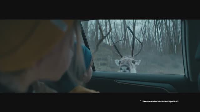 Рекламный ролик для Toyota RAV4 / Для реальной жизни