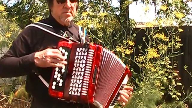 Accordion - Polka