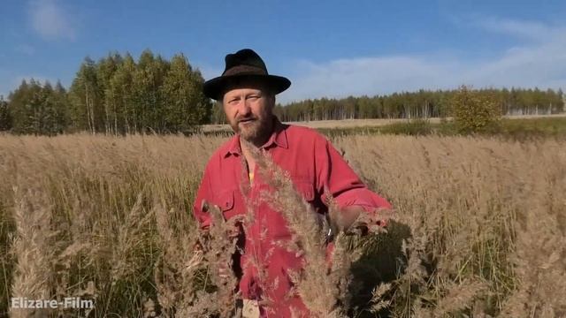 Воспоминания о Винсенте / Кем был Ван Гог. Художественный фильм