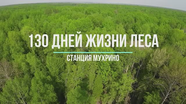 130 дней жизни леса