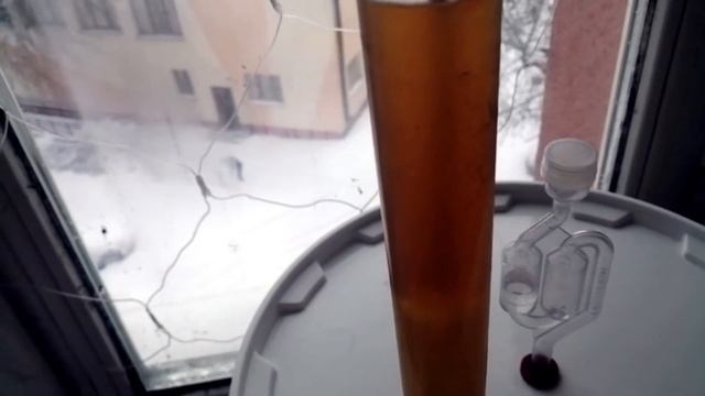 Золотистый эль в английском стиле @hop_barrel