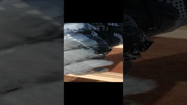 VID_20241012_123549.mp4