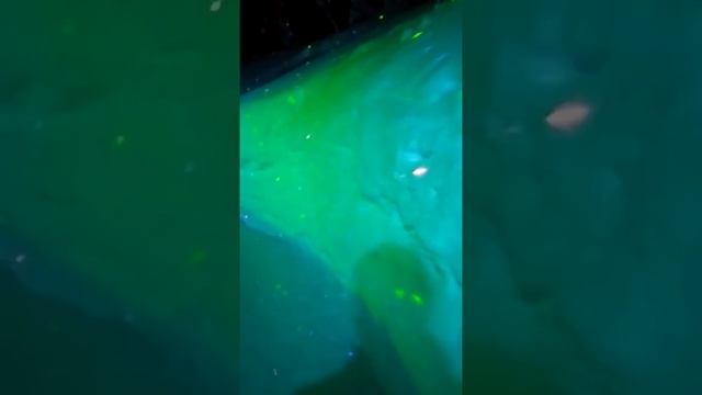 Таинственный лес, лабиринт, Кировск 2020