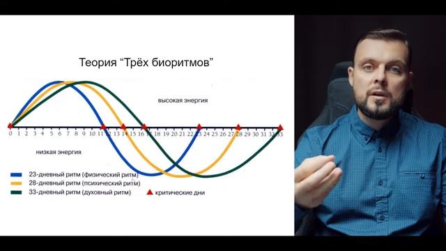 Биоритмы. Как жить в гармонии с ритмами вселенной.