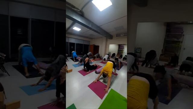 Тантра крия йога. Силовые крии.