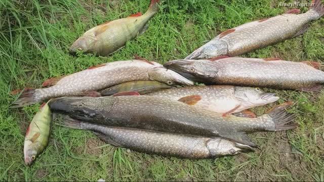 Озеро Огий-Нуур. Ловля щук и окуней с приключениями!!! Вторая часть.