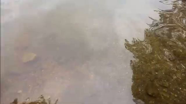 2021_05_29_Чусовое