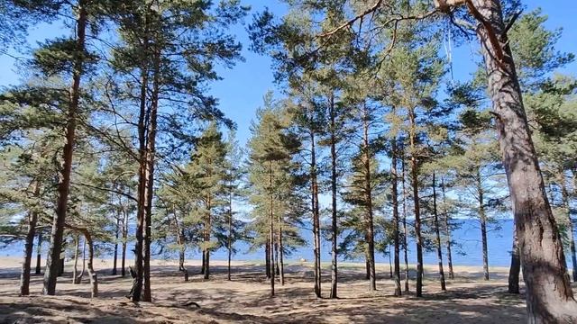 Йога Нидра с санкальпой - 5  \ Ирина Городецкая \ www.yoga-energy.spb.ru