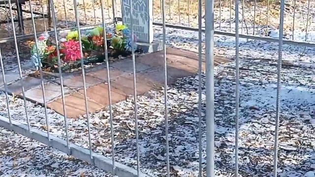 Посетила кладбище по просьбе подписчиков в г.Татарск.