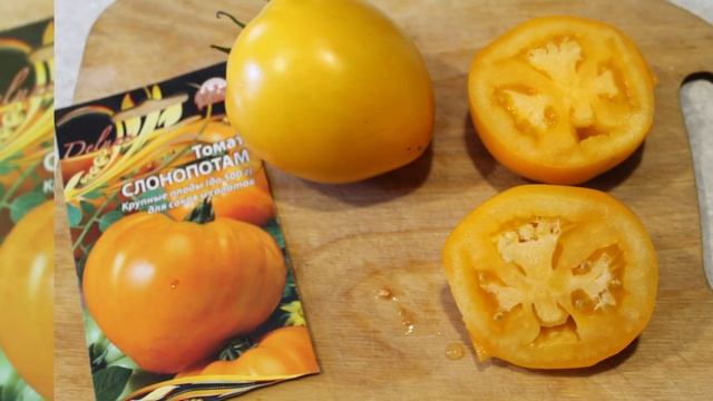 Томат Слонопотам