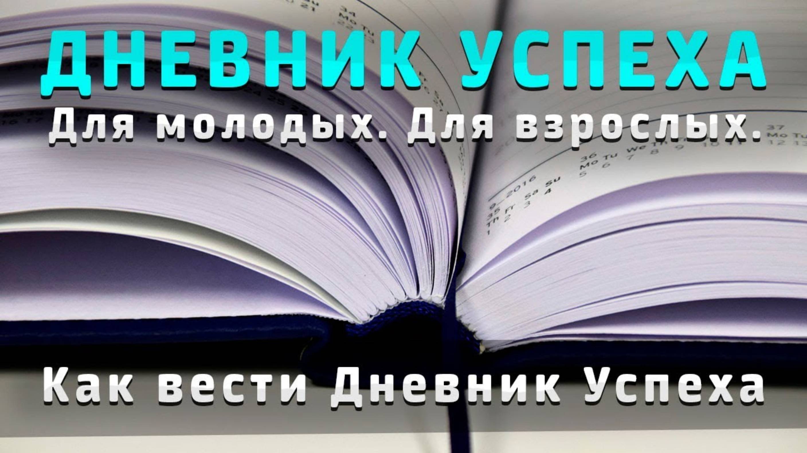 ЧТО ТАКОЕ ДНЕВНИК УСПЕХОВ и как им пользоваться.