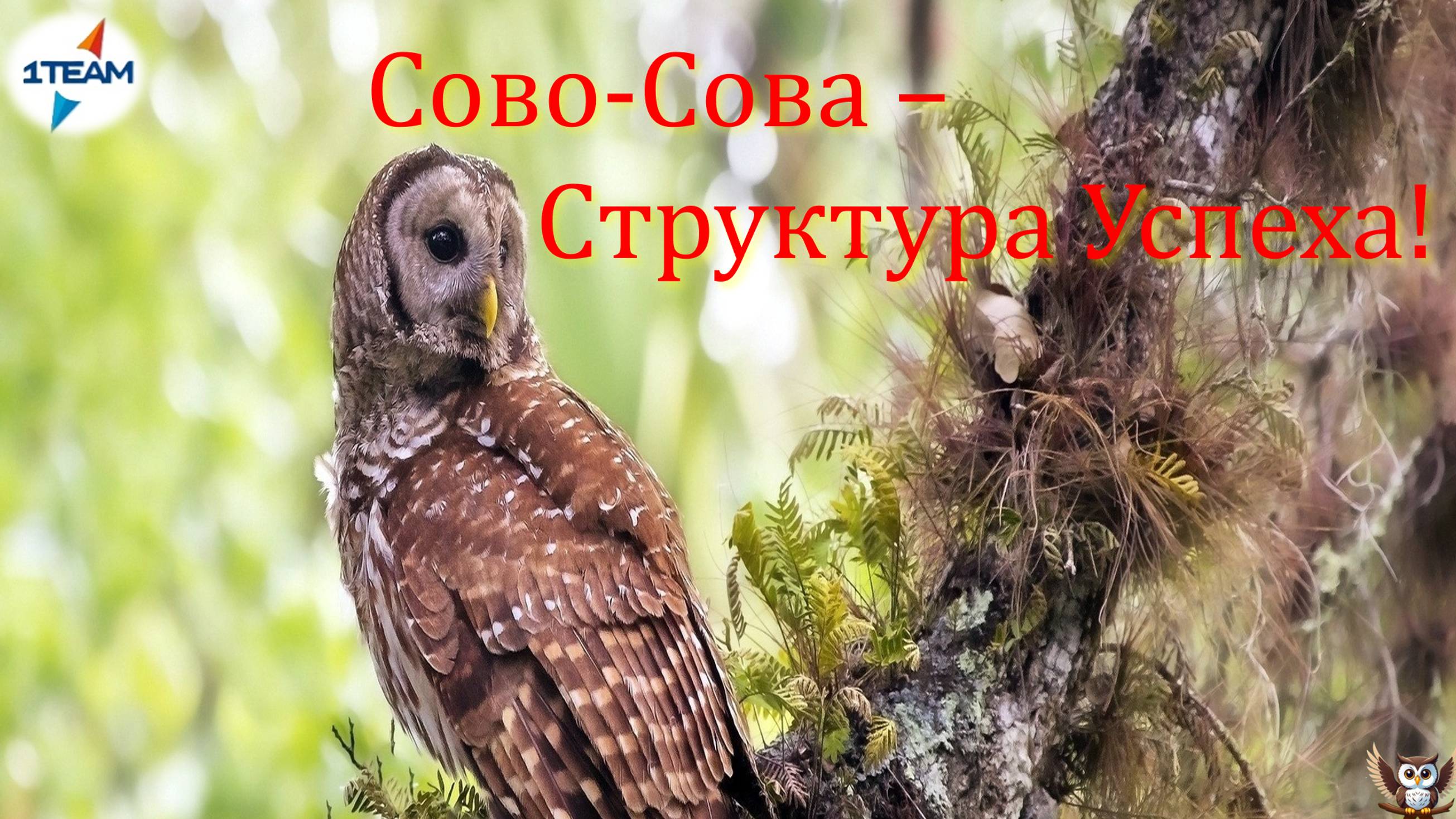 Наша История. Празднование годовщины Команды 1 ТЕАМ. Структура Т. Каргаполовой. г. Екатеринбург.