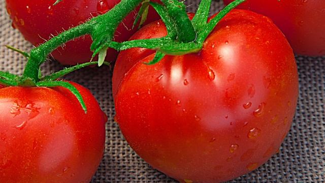 Томат Быстренок F1