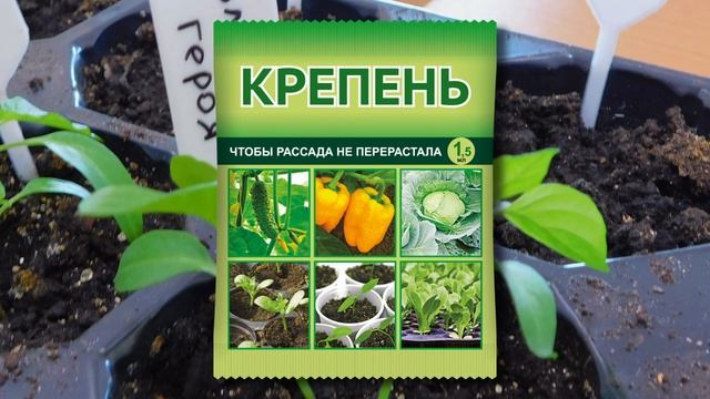 Перец сладкий Золото героя