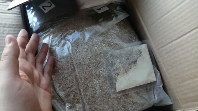 Анонс варки нового пива Дюбель