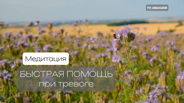 Медитация «Быстрая помощь при тревоге и стрессе»
