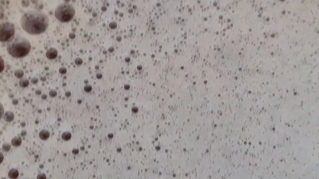 Медово-гречишный эль!!! @hop_barrel