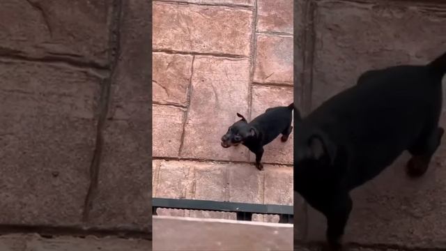 Ты через годик приходи! Поговорим!