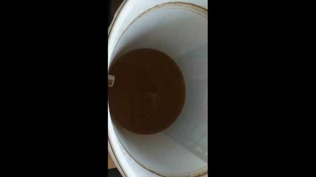 Пшеничный эль (из готового концентрата дома!!!)