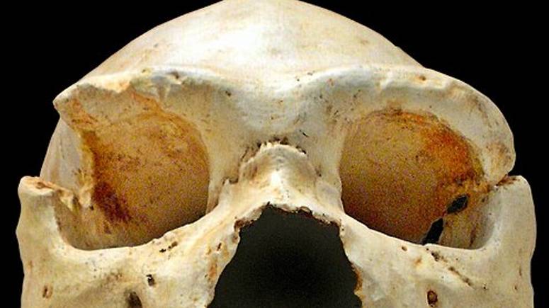 #29 Человечество в эпоху палеолита. Часть 7. Возникновение речи у первобытных людей