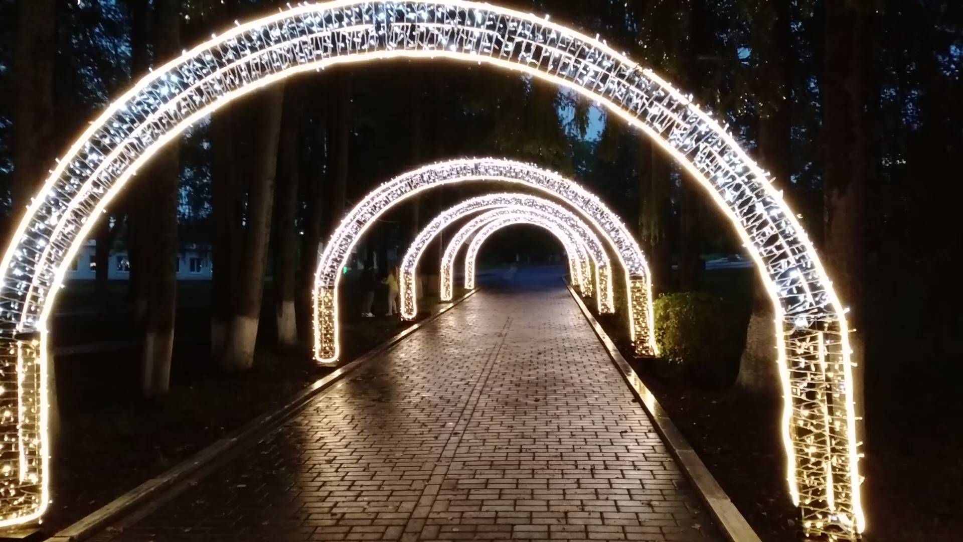 Ночная жизнь - яркая, громкая и весёлая/Санаторий Станко/Кинешма 2024