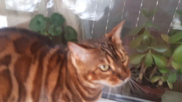 Снега точно не ждали!