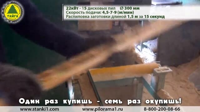 Тарный многопил Тайга СМД