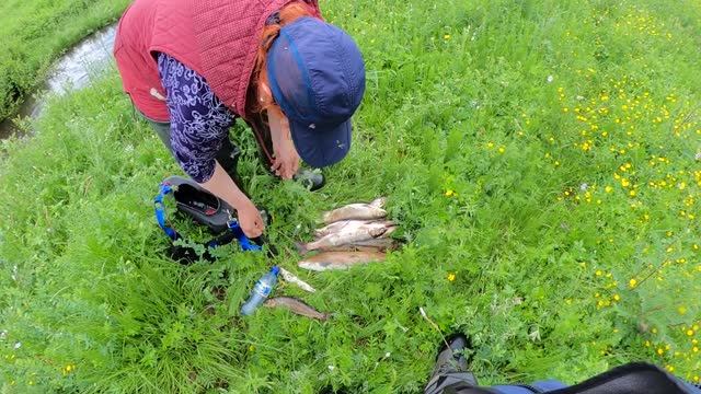 Рыбалка  в поле, на ручье. Ловля крупного хариуса и ленка на удочку и спиннинг.