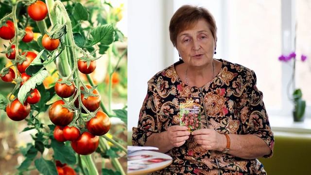 Томат Арапчонок F1