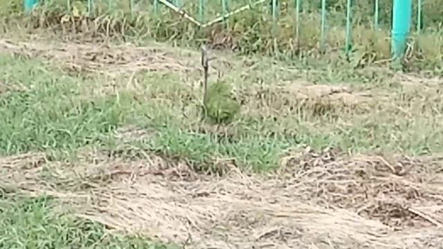 Какое же состояние памятника погибшим воинам в обычные дни?