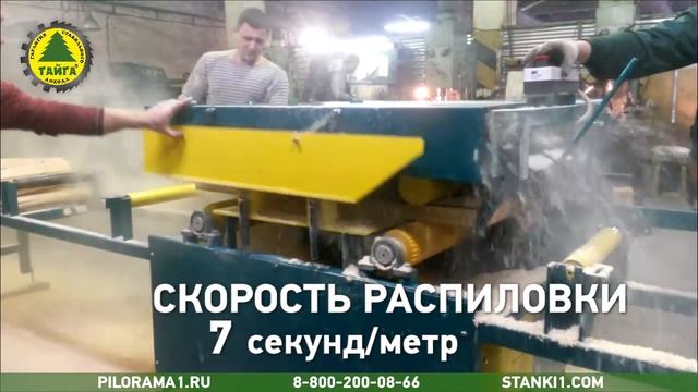 Дисковый многопильный станок СМД-2 Тарный