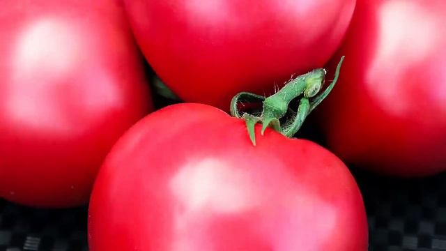 Томат Розовые вершины F1