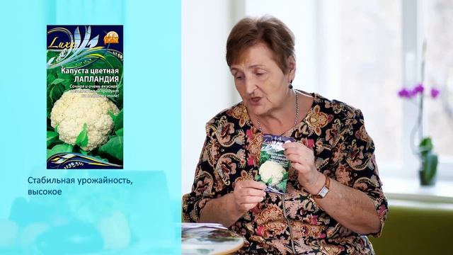 Капуста цветная Лапландия