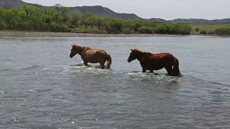 Щучий день. Щука-Злюка...