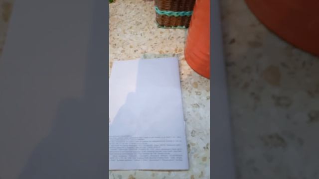 Обманули,гады!!!!