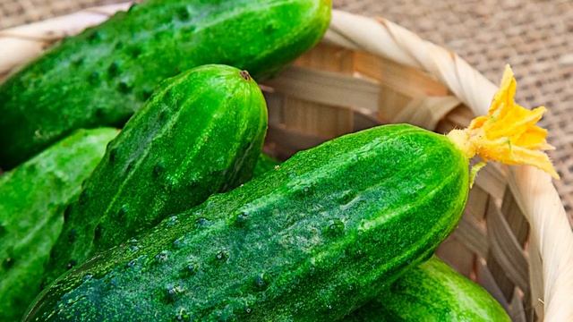 Огурец Дачный F1