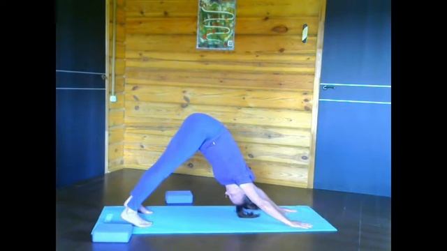 Хатха йога для начинающих. Поддерживаем энергетический тонус в середине лунного месяца.