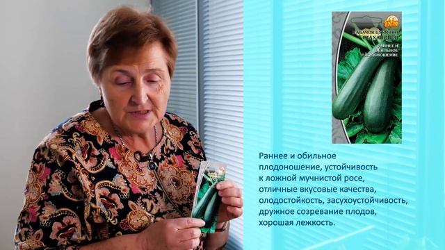 Кабачок цуккини Стахановец