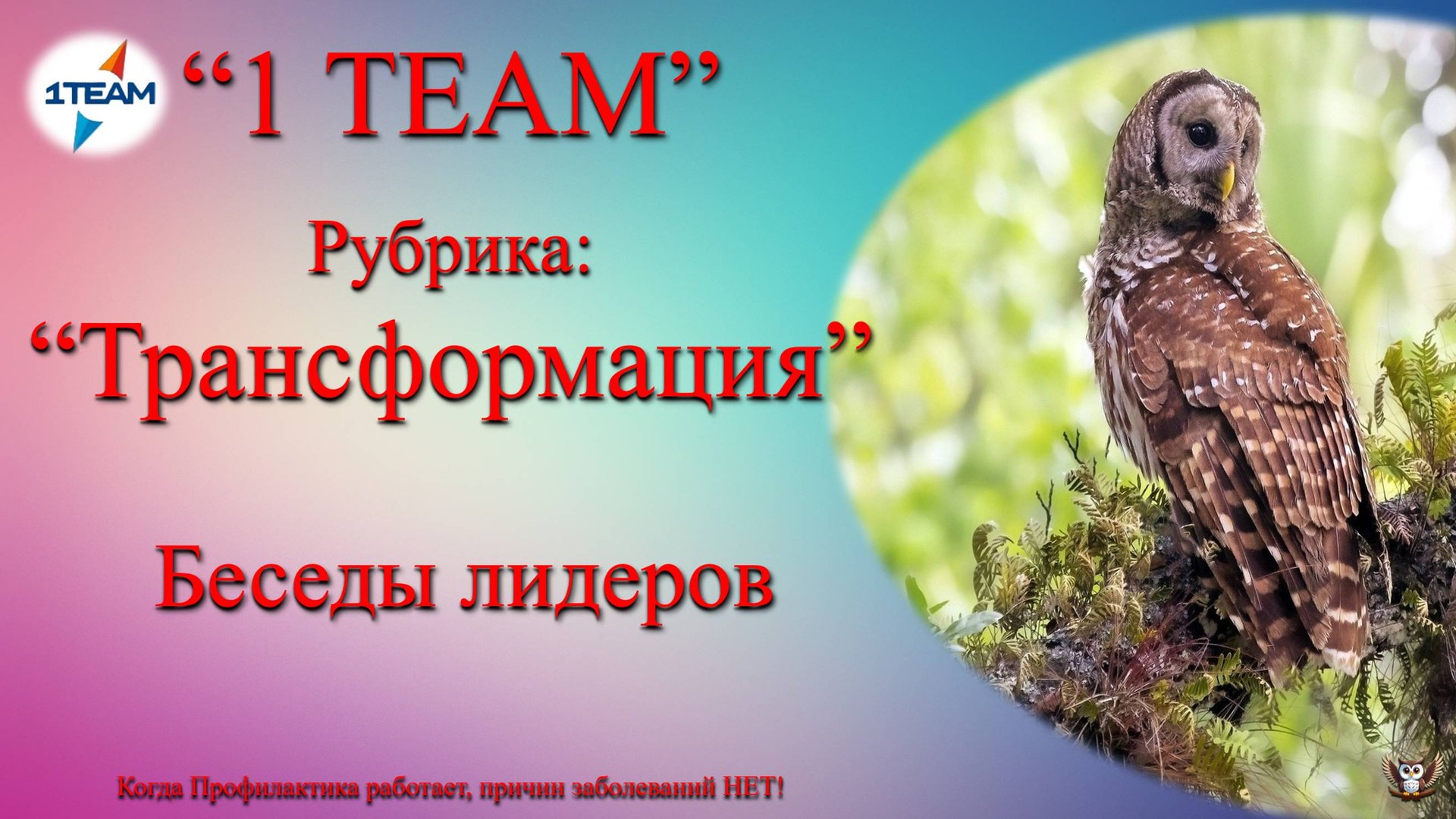 Трансформация лидера. Вадим Толкунов. Команда 1TEAM.  18.11.2022 г.