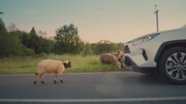 Рекламный ролик для TOYOTA RAV4 TVC / ЧУР Я ЗА РУЛЕМ