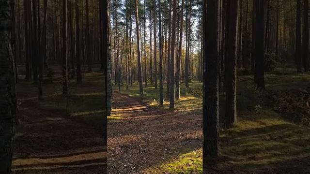 Ретрит с Юлией Лагун в Глубоком
#исцеление